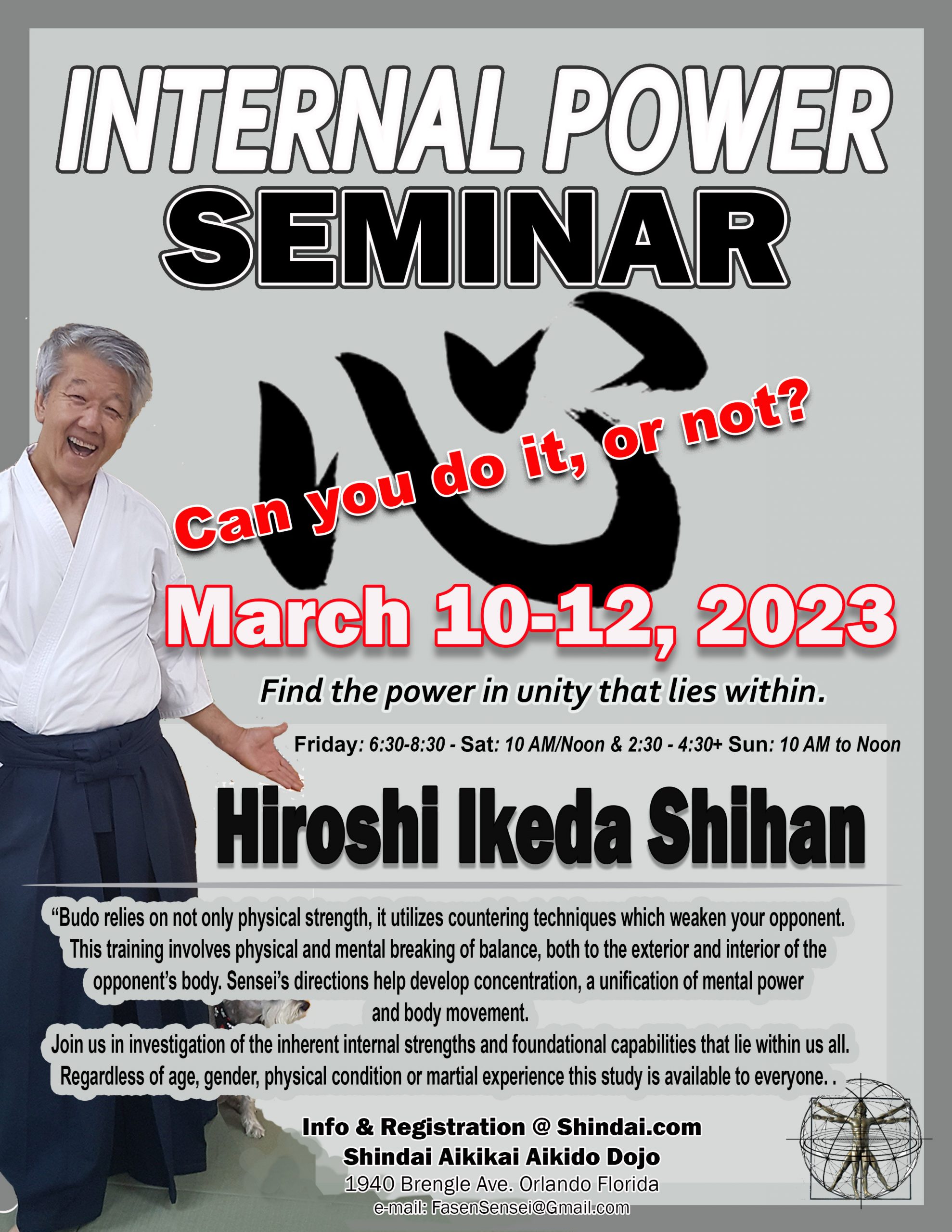 Hiroshi Ikeda Sensei Internal Power – Shindai Aikikai Aikido